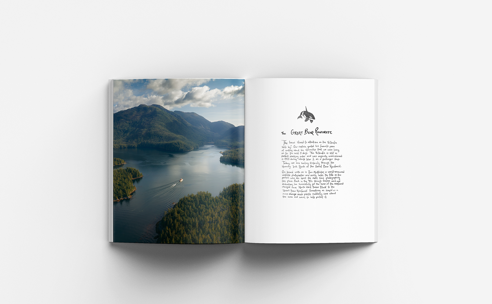 Thin Spaces by Emmett Sparling